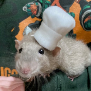 Chef Hat for Pet Rat, Multiple Colors and Sizes Available, Pet Costume ...