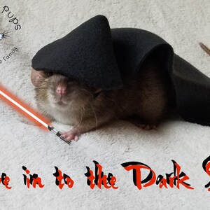 Hooded Cape Costume for Pet Rats, Many Colors Available, Rat Cape ...
