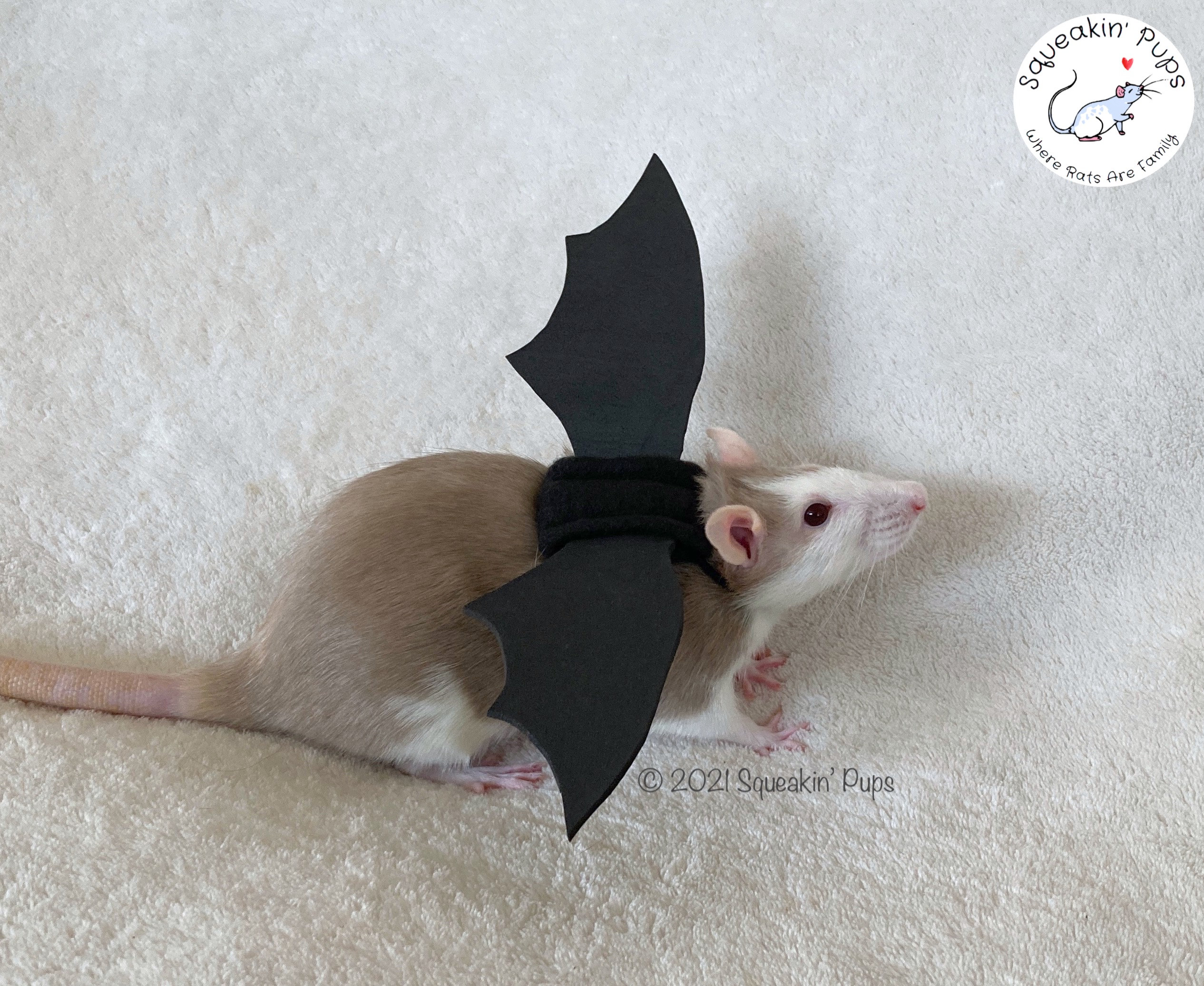 Bat Wings Rat Costume Halloween Pet Costume for Rats - Etsy