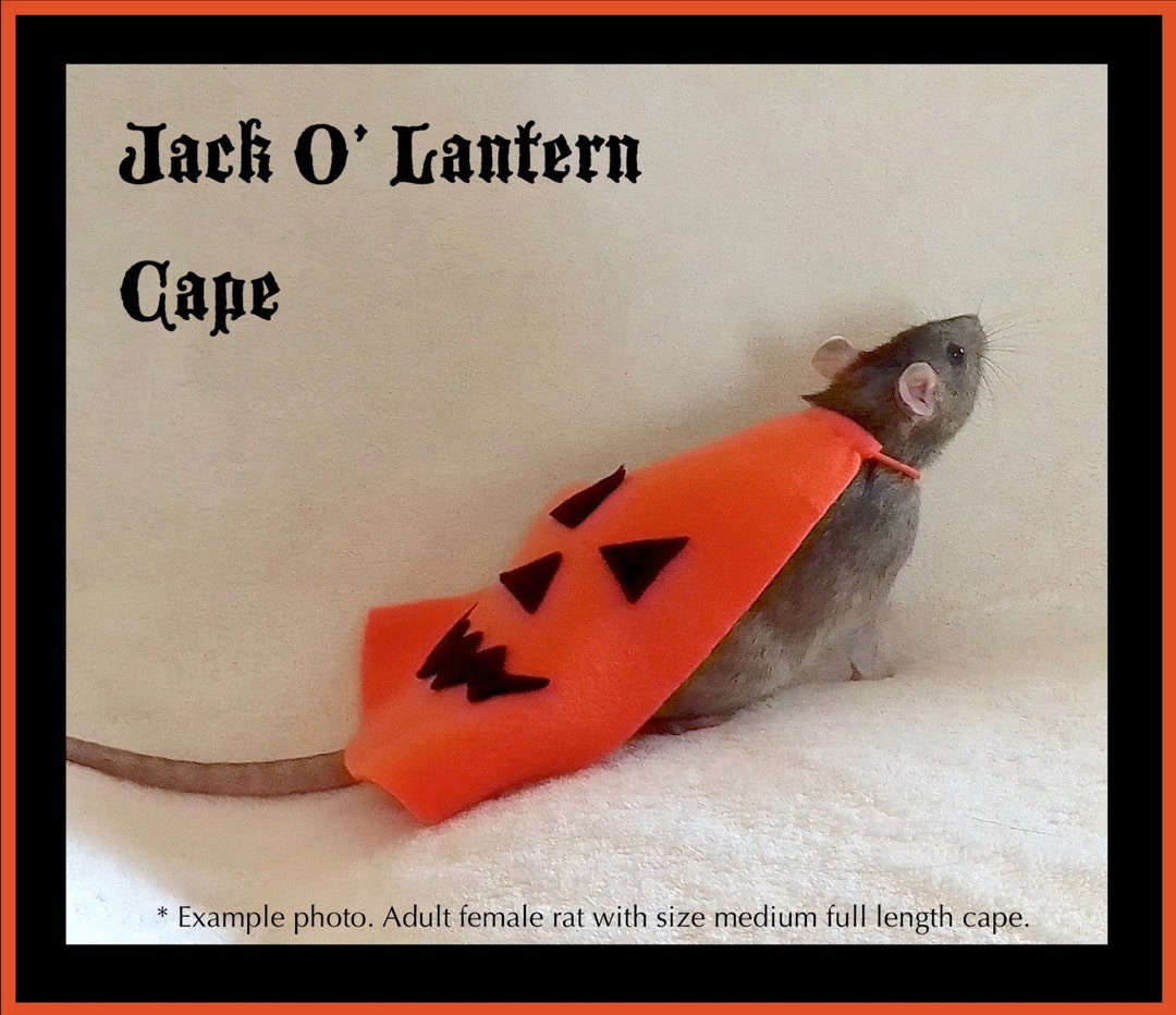 Jack O' Lantern Cape Costume for Pet Rats, Orange Cape With Black ...