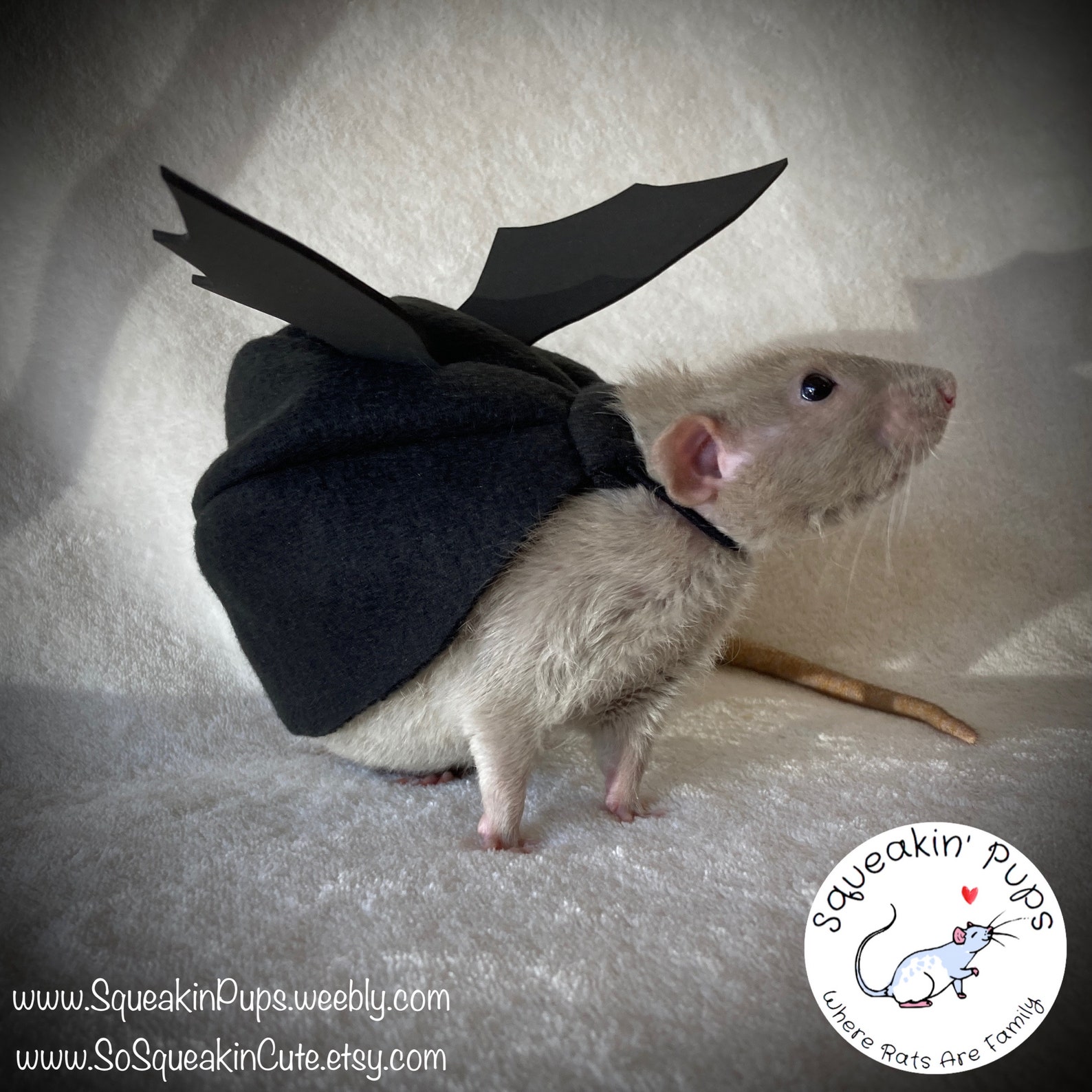 Vampire Bat Costume for Pet Rats With Wings and Optional Hat - Etsy