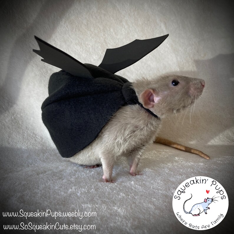 Vampire Bat Costume for Pet Rats With Wings and Optional Hat - Etsy