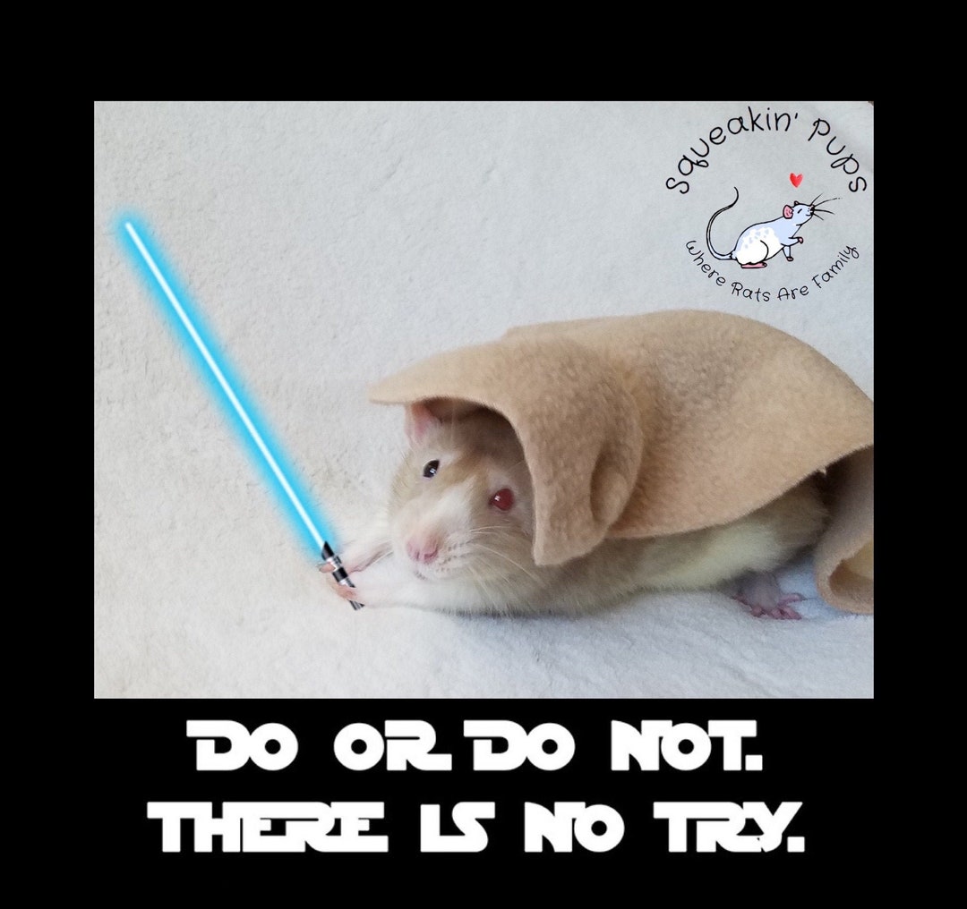 Hooded Cape Costume for Pet Rats, Many Colors Available, Rat Cape ...