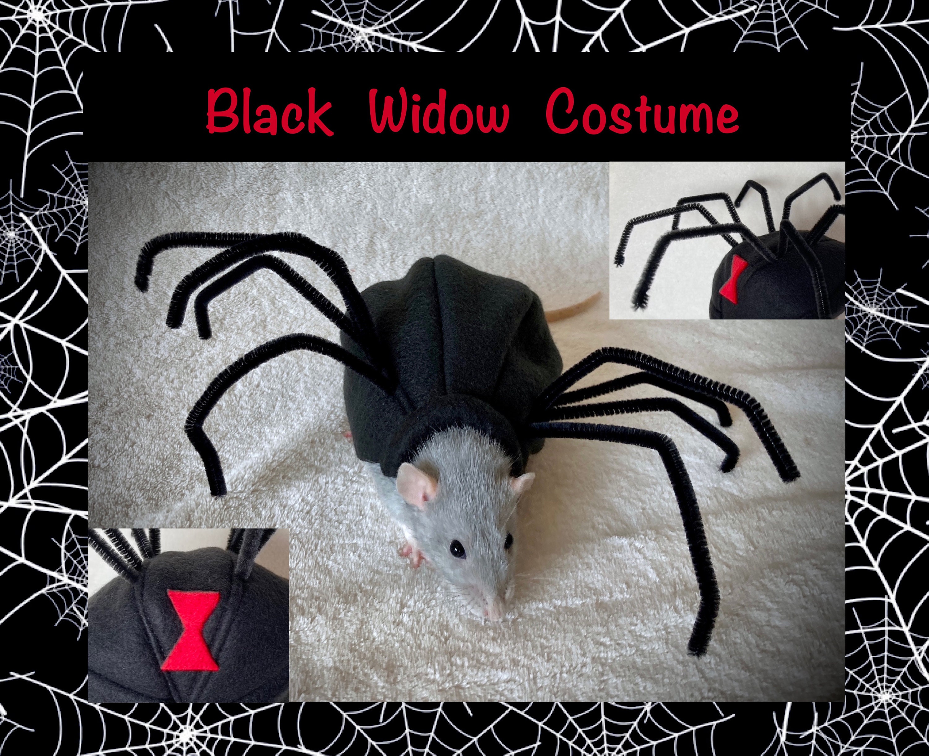 Black Widow Spider Costume
