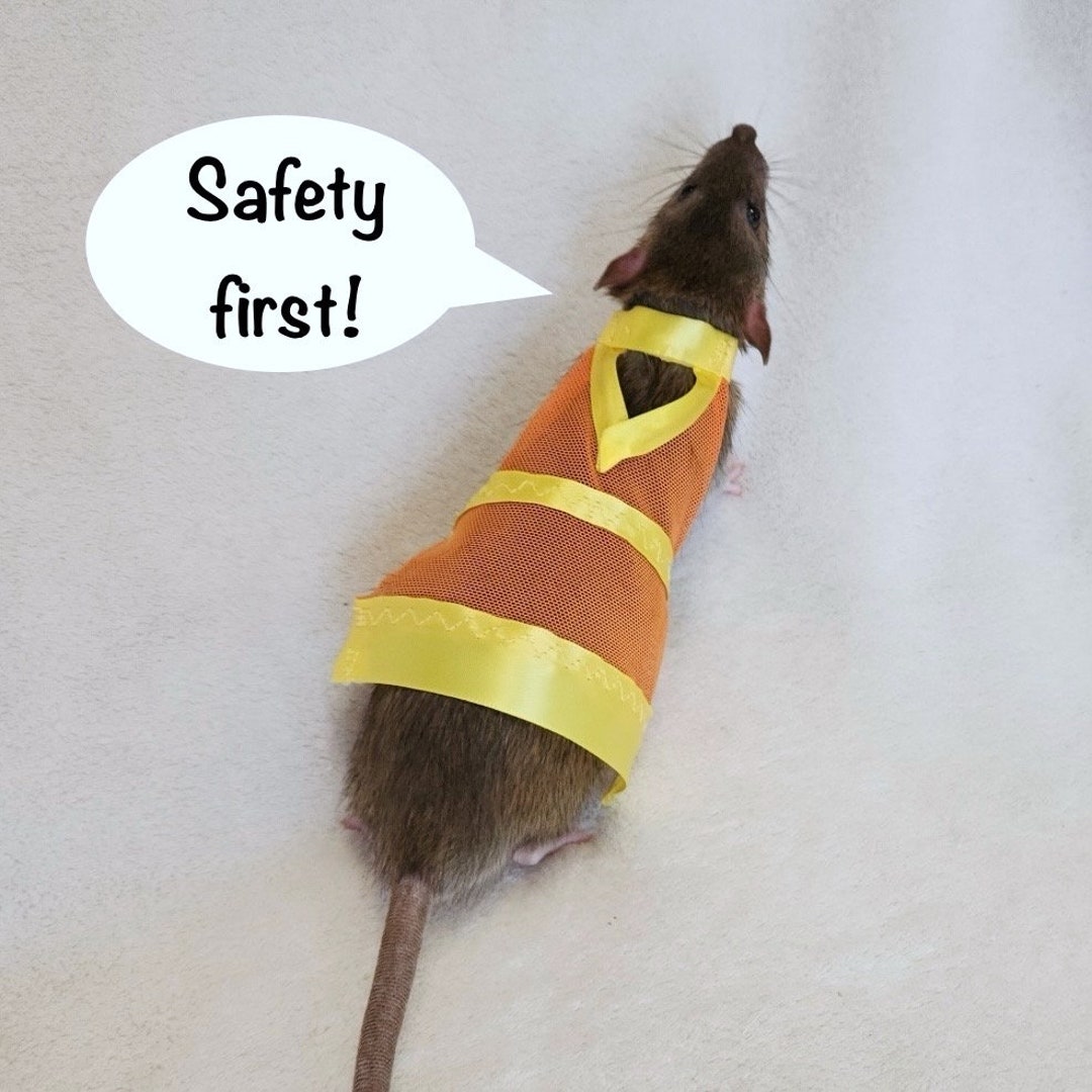 Construction Worker Costume for Pet Rats, Halloween Pet Costume, Rat ...