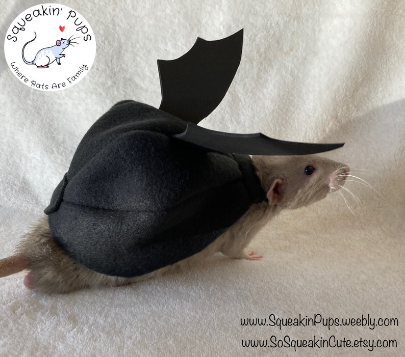 Vampire Bat Costume for Pet Rats With Wings and Optional Hat - Etsy