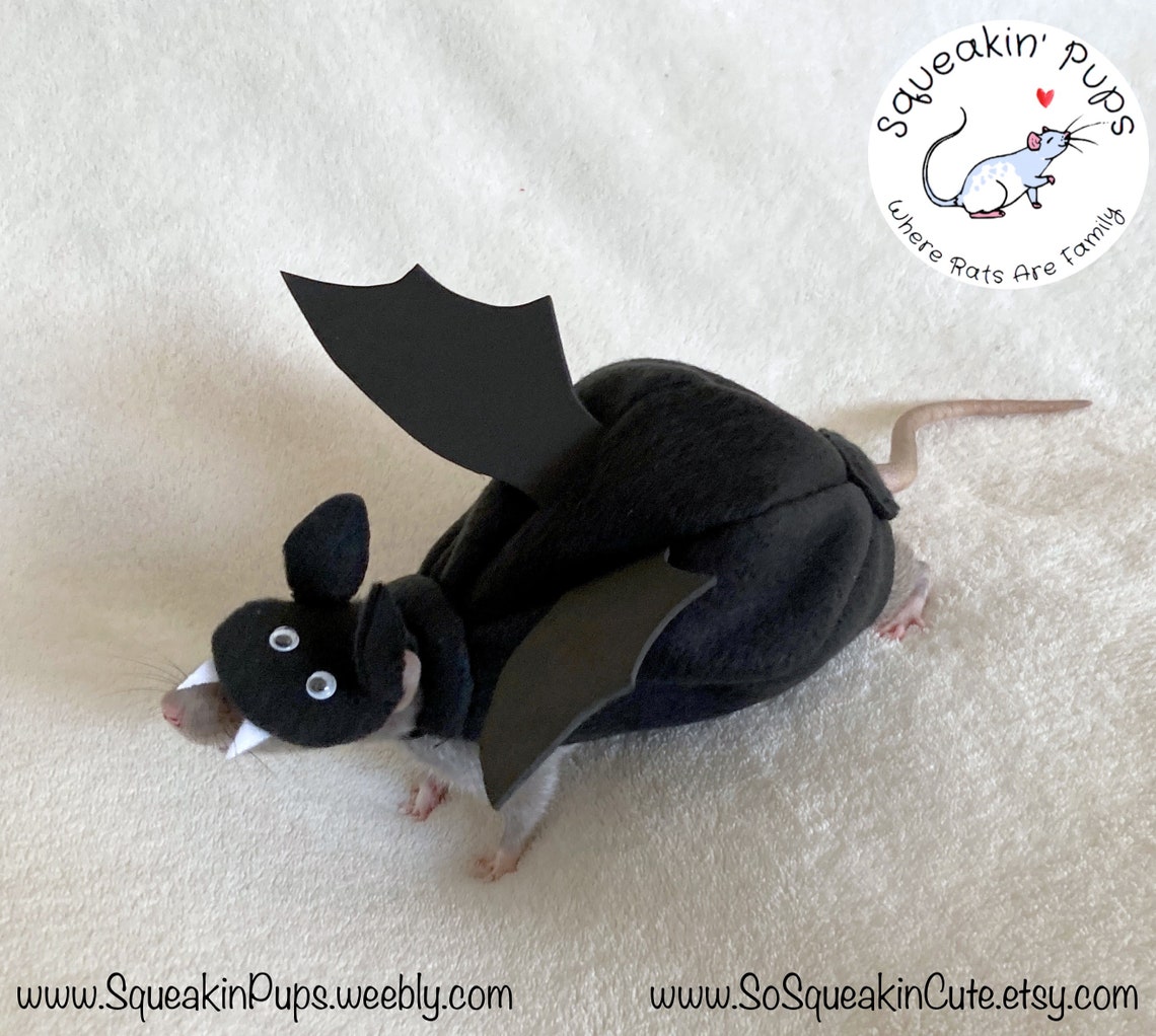 Vampire Bat Costume for Pet Rats With Wings and Optional Hat - Etsy