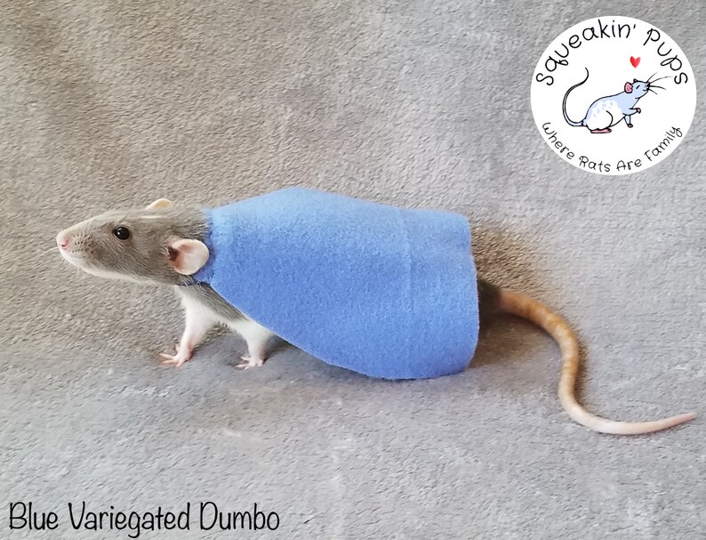 Basic Fleece Cape Costume for Pet Rats Many Colors and Sizes - Etsy
