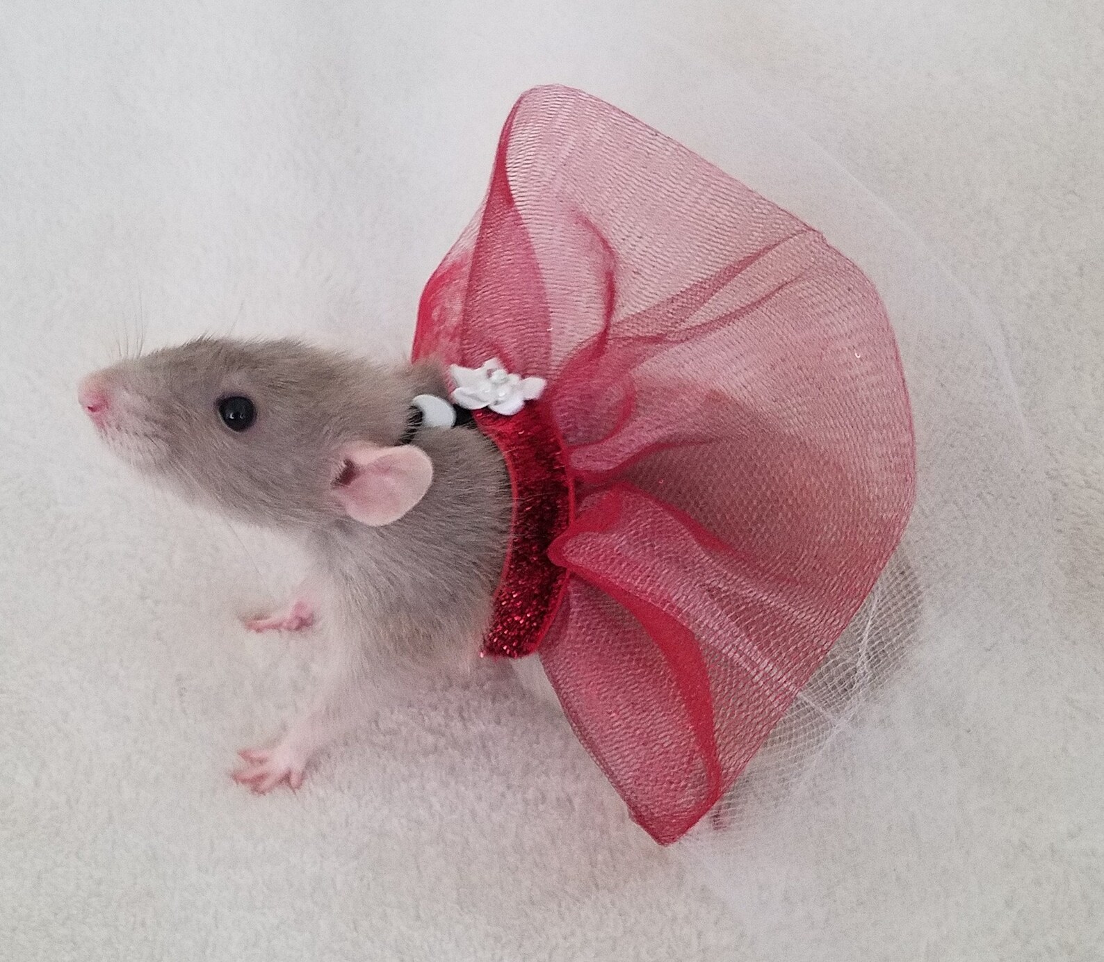 Valentine's Day Tutu Dress, Sparkle Glitter Tutu Skirt Dress for Pet ...