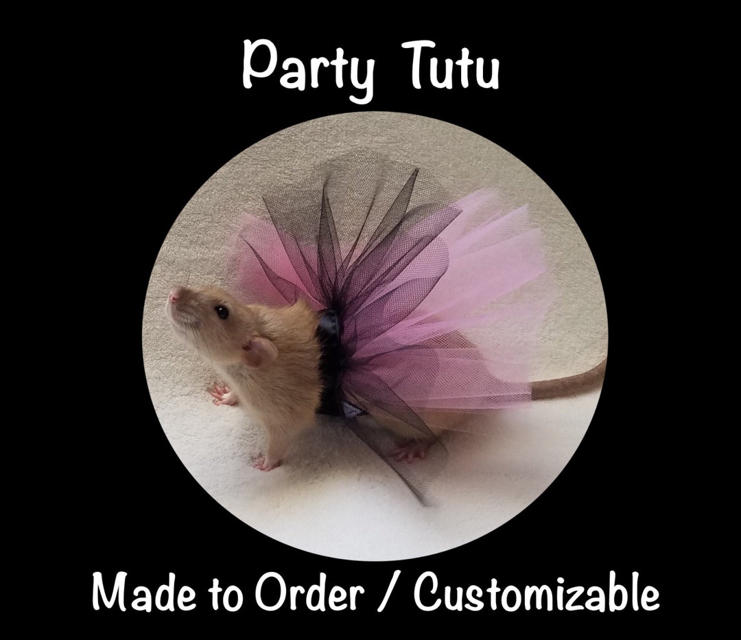 Party Tutu Costume for Pet Rats, Many Colors Available, Rat Skirt ...