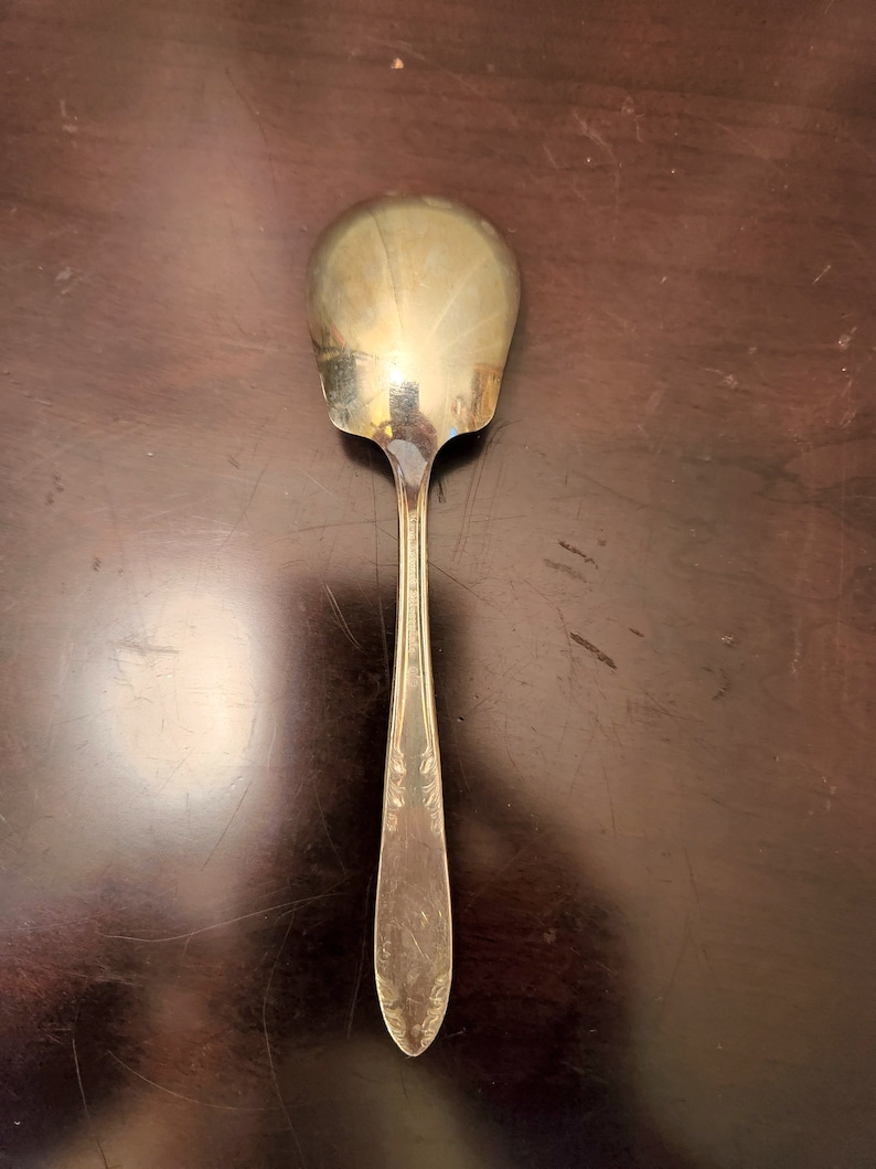 King Edward Silverplate Sugar Shell Spoon Vintage 1950s - Etsy