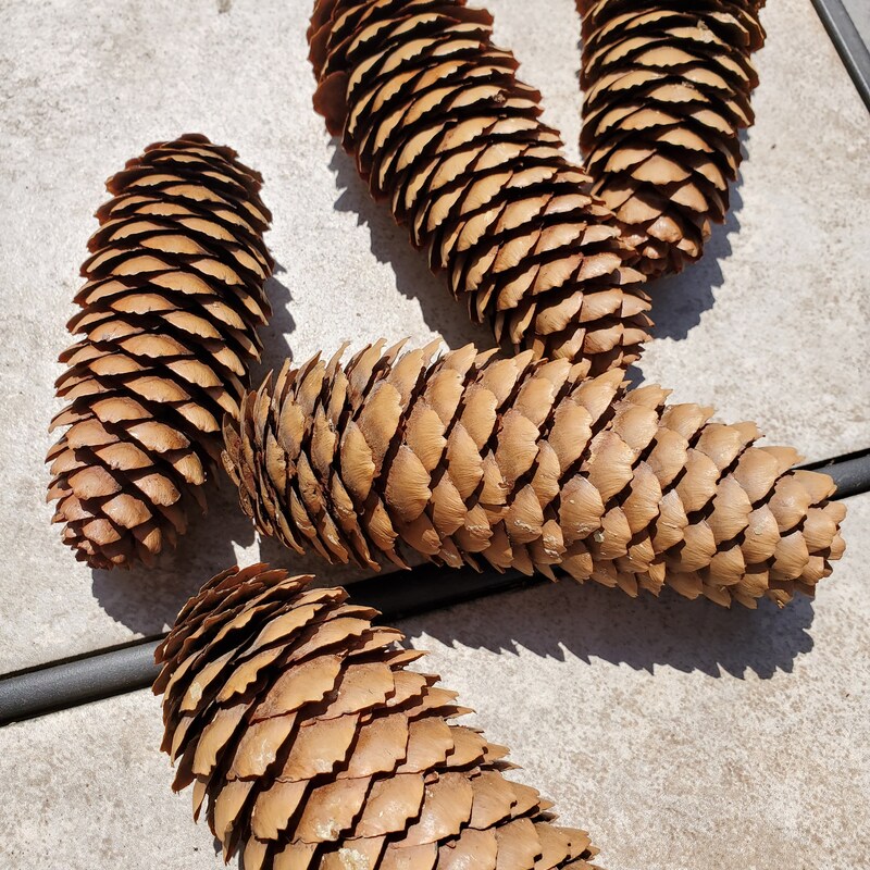 Paper Cone Wreath - Etsy