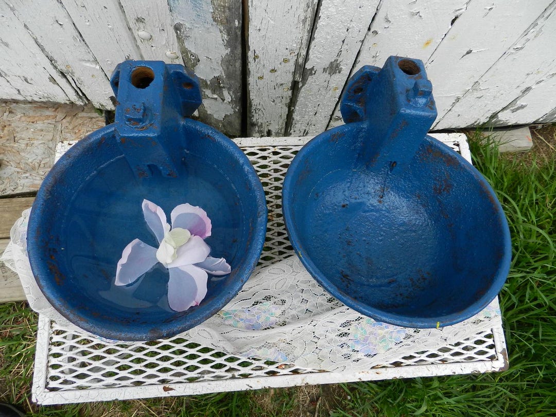 FRENCH BLUE WATERING Bowl/ch00se FR0M 2 - Etsy
