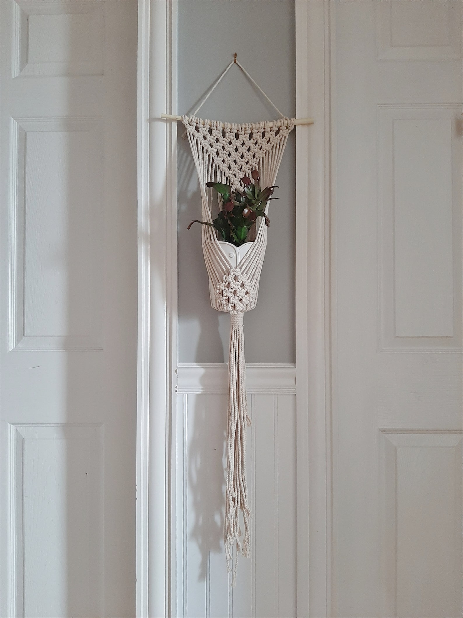 Large Size Plant Holder Macrame Wall Hanging Butterfly Plant - Etsy