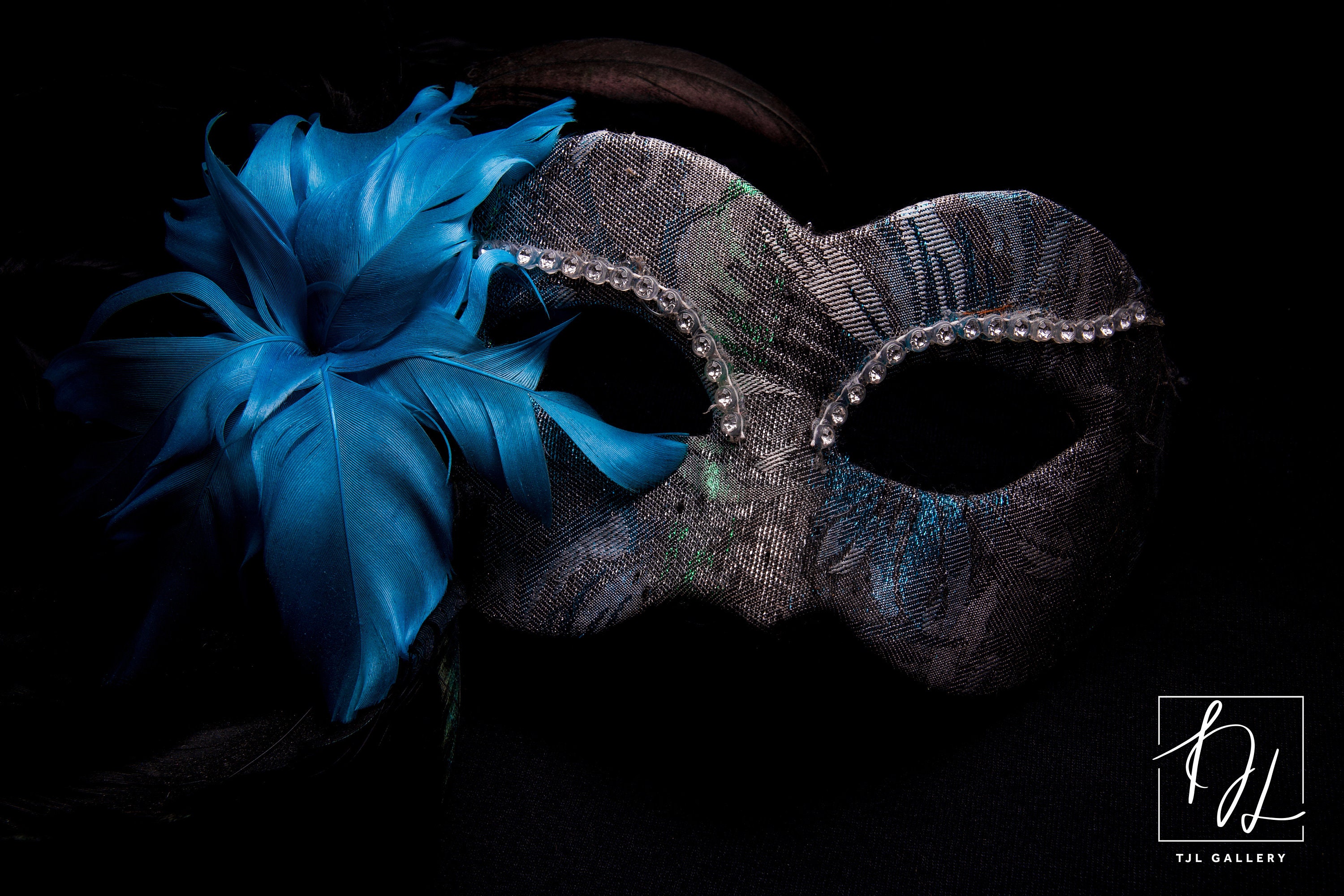 Venetian Mask Canvas Print, Fine Art Photography, Venice Carnival Mask ...