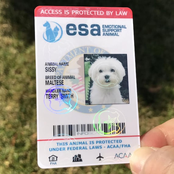 emotional-support-animal-id-card-animal-hd-wallpapers