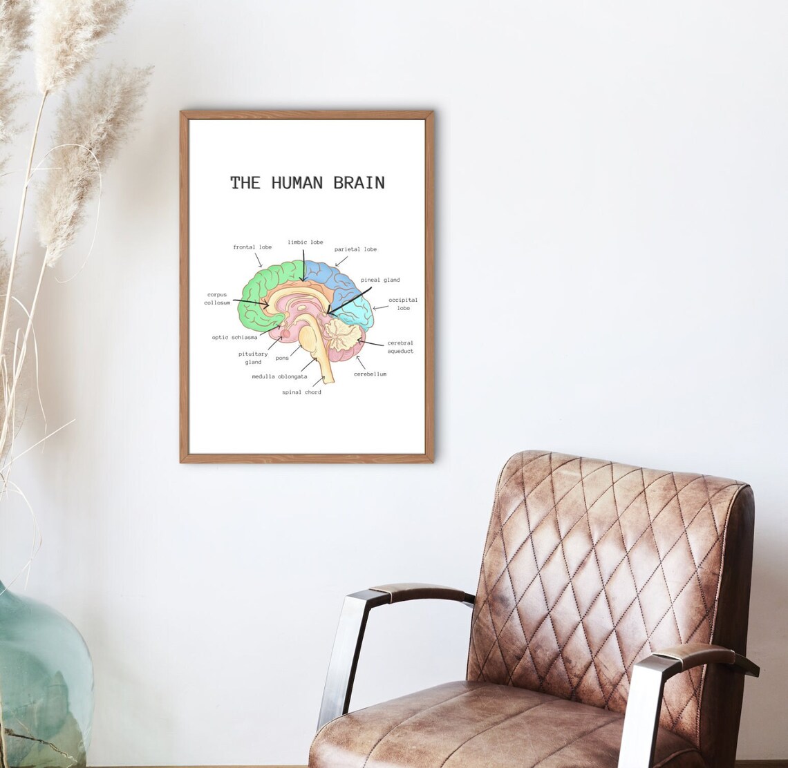 Brain Anatomy Labeled Poster Print Psychology Wall Art - Etsy