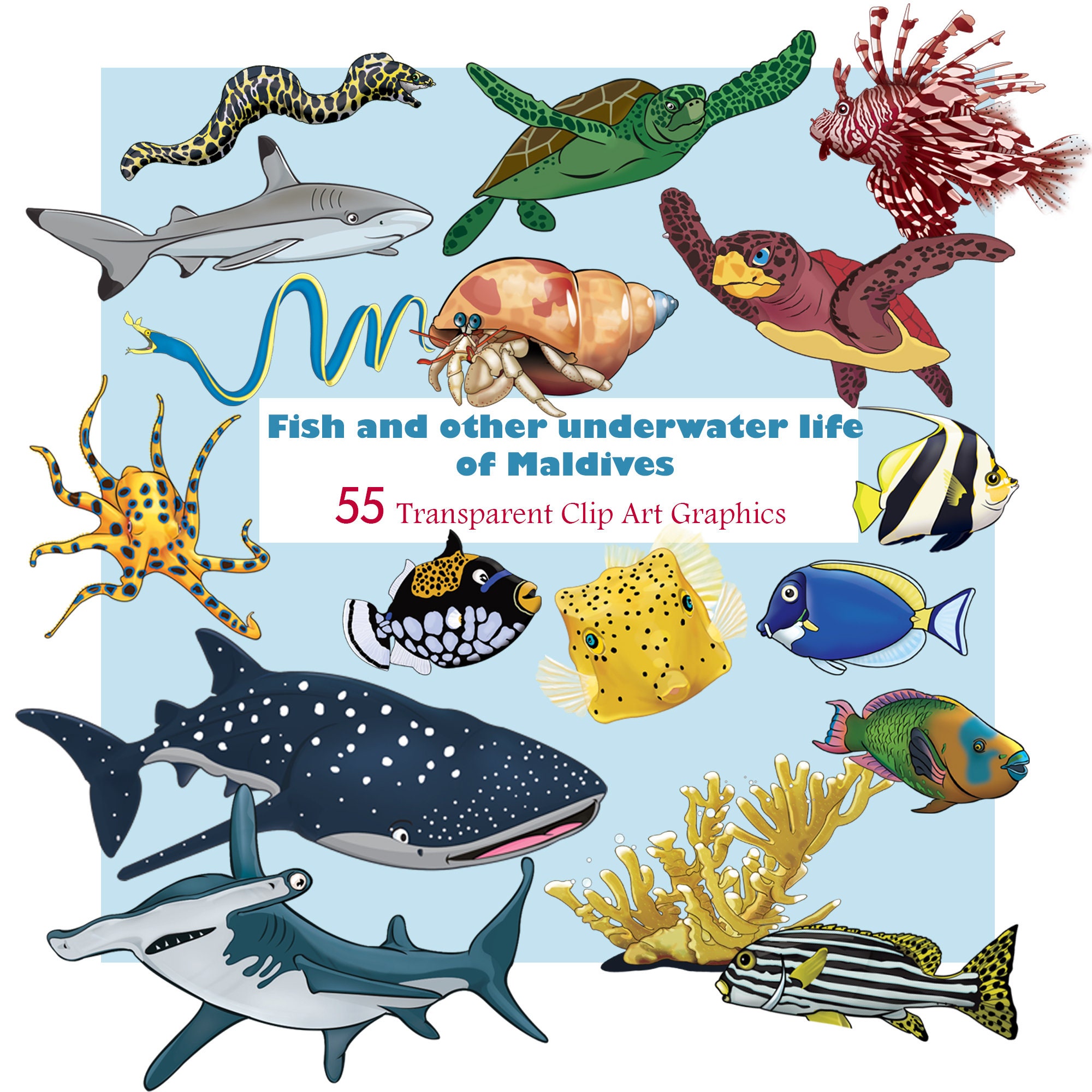 DIGITAL DOWNLOAD Clipart of 55 Beautiful Colorful Fish and Seashells ...