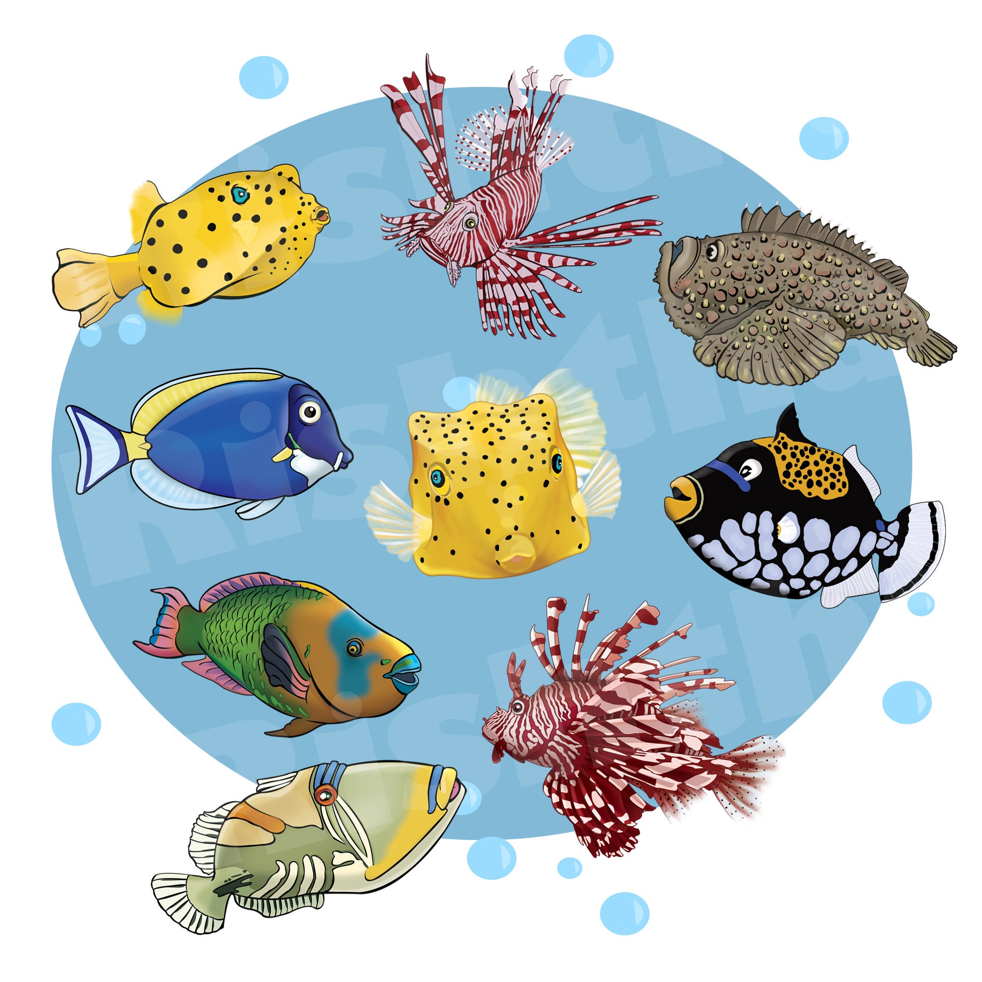 DIGITAL DOWNLOAD Clipart of 55 Beautiful Colorful Fish and Seashells ...