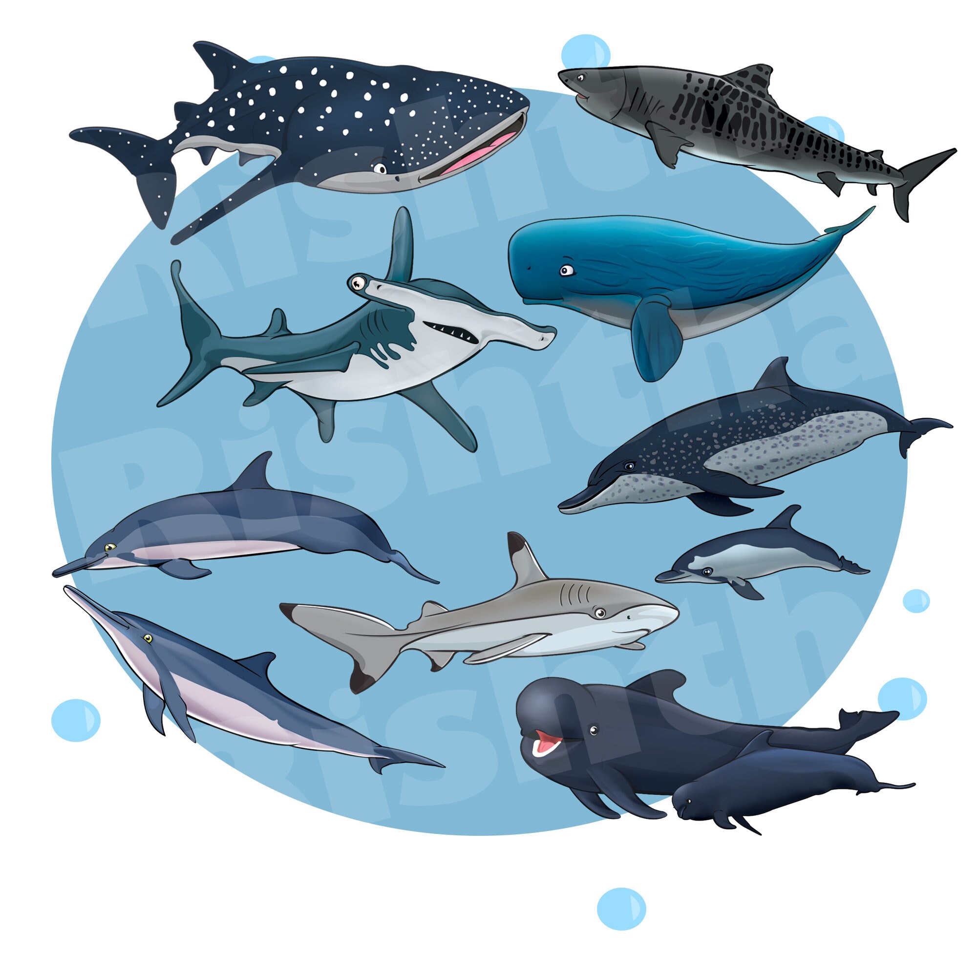 DIGITAL DOWNLOAD Clipart of 55 Beautiful Colorful Fish and Seashells ...