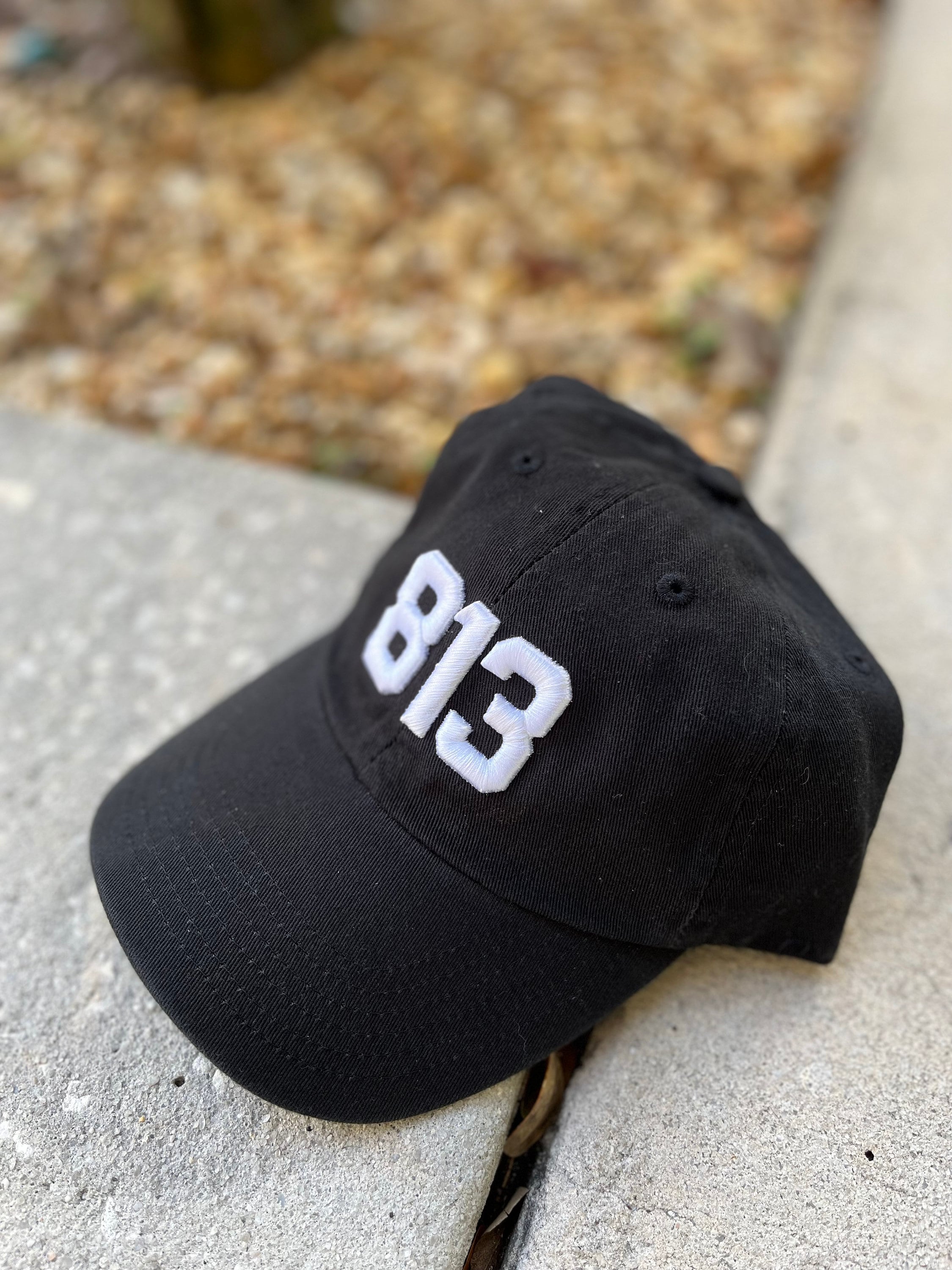 813 Area Code Baseball Cap, Puff Embroidery, Custom Number - Etsy