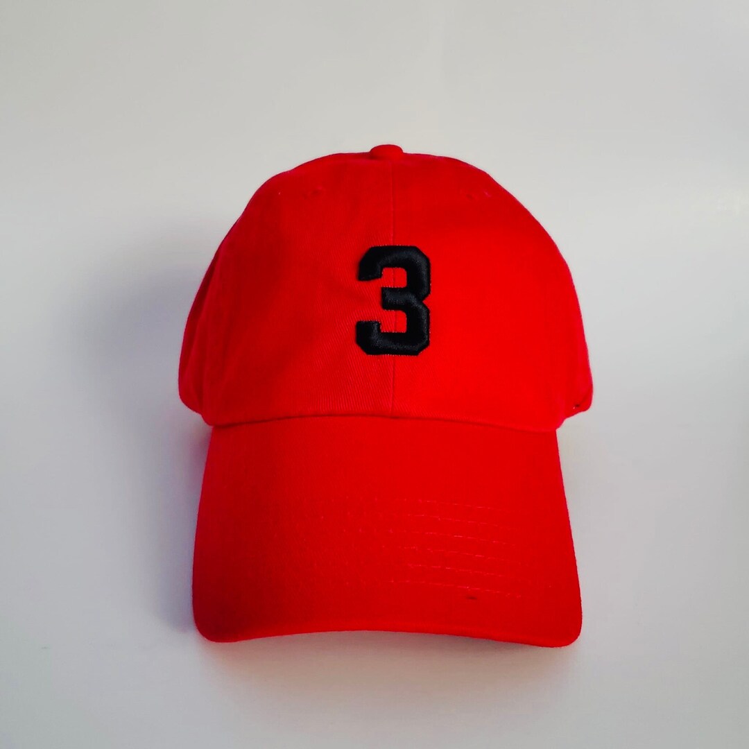 Custom Puff Number Hat, Embroider Hat, Adult Baseball Hat, Personalized ...