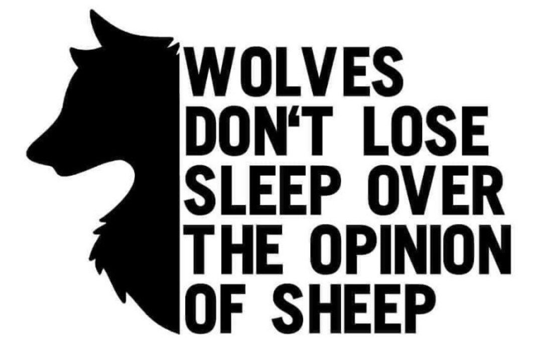 Wolves and Sheep Vinyl Car Decal - Etsy