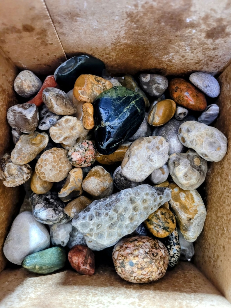 Great Lakes Rocks/ Petoskey Stones/ Pudding Stone/ Minerals - Etsy
