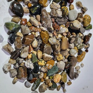 Great Lakes Rocks/ Petoskey Stones/ Pudding Stone/ Minerals/ Fossils ...
