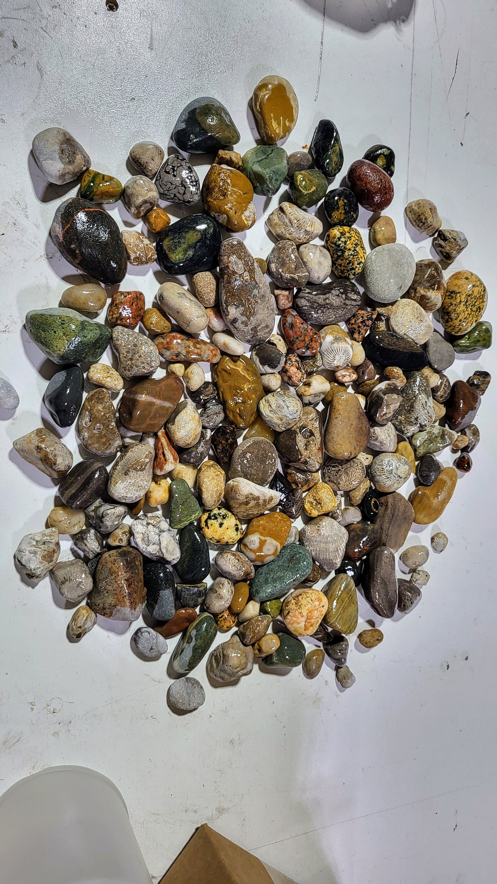 Great Lakes Rocks/ Petoskey Stones/ Pudding Stone/ Minerals/ Fossils ...