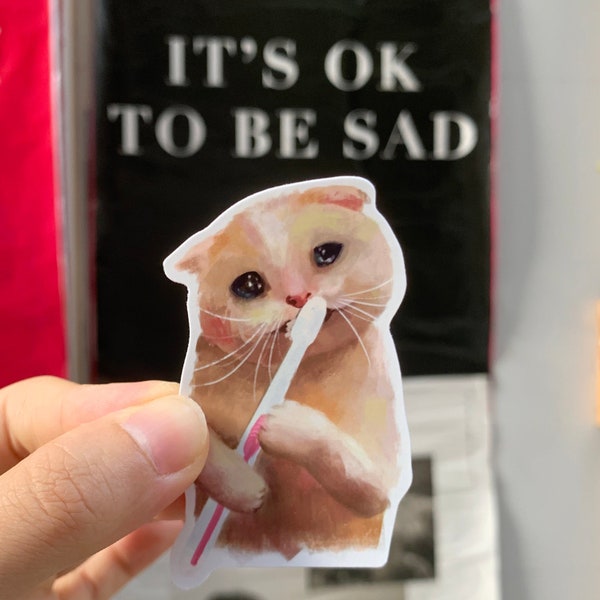 Sad Cat Meme Stickers - Etsy