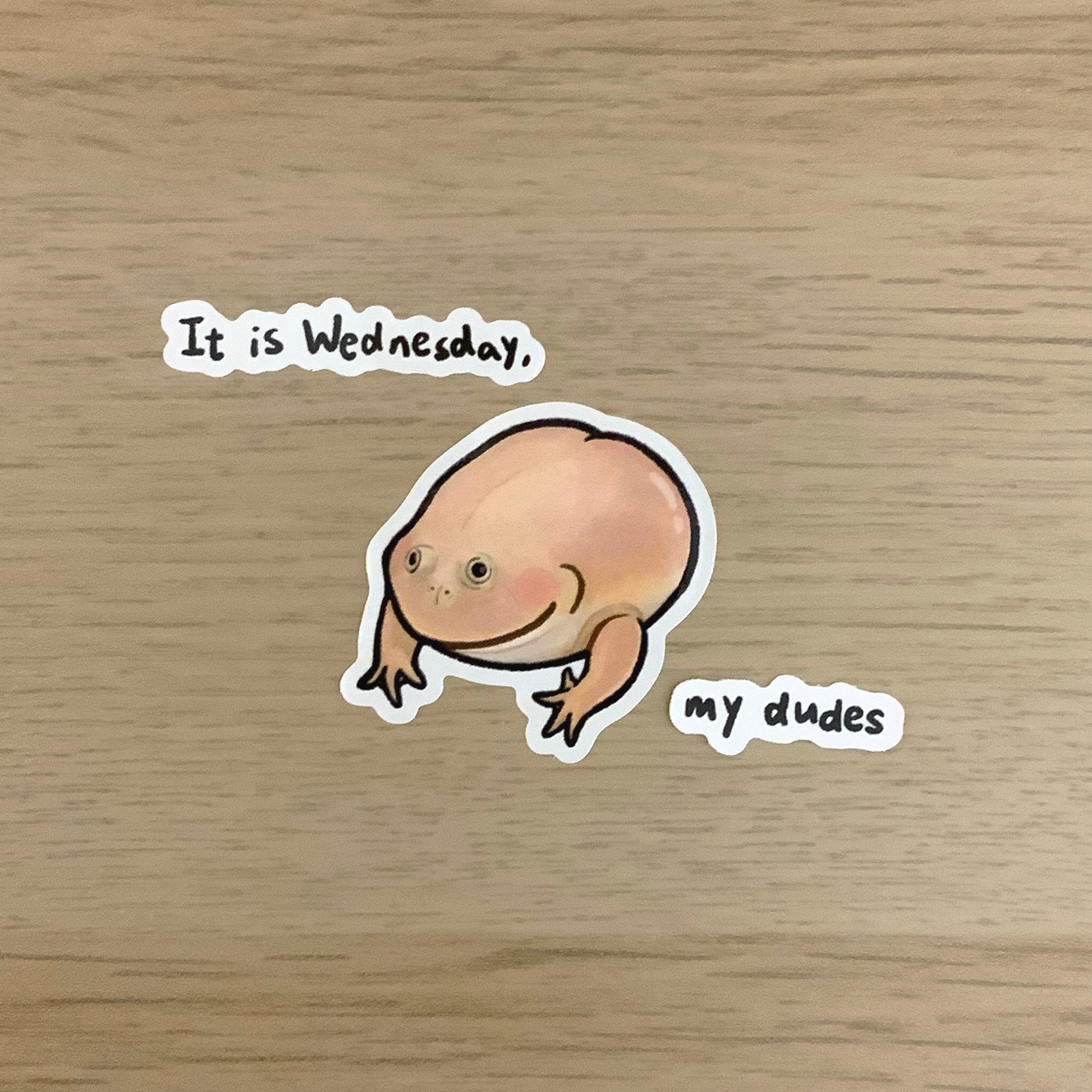 It is Wednesday My Dudes Frog Meme Sticker - Etsy