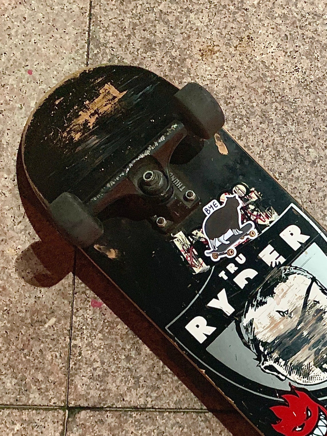 Skateboard Cat Meme Sticker - Etsy