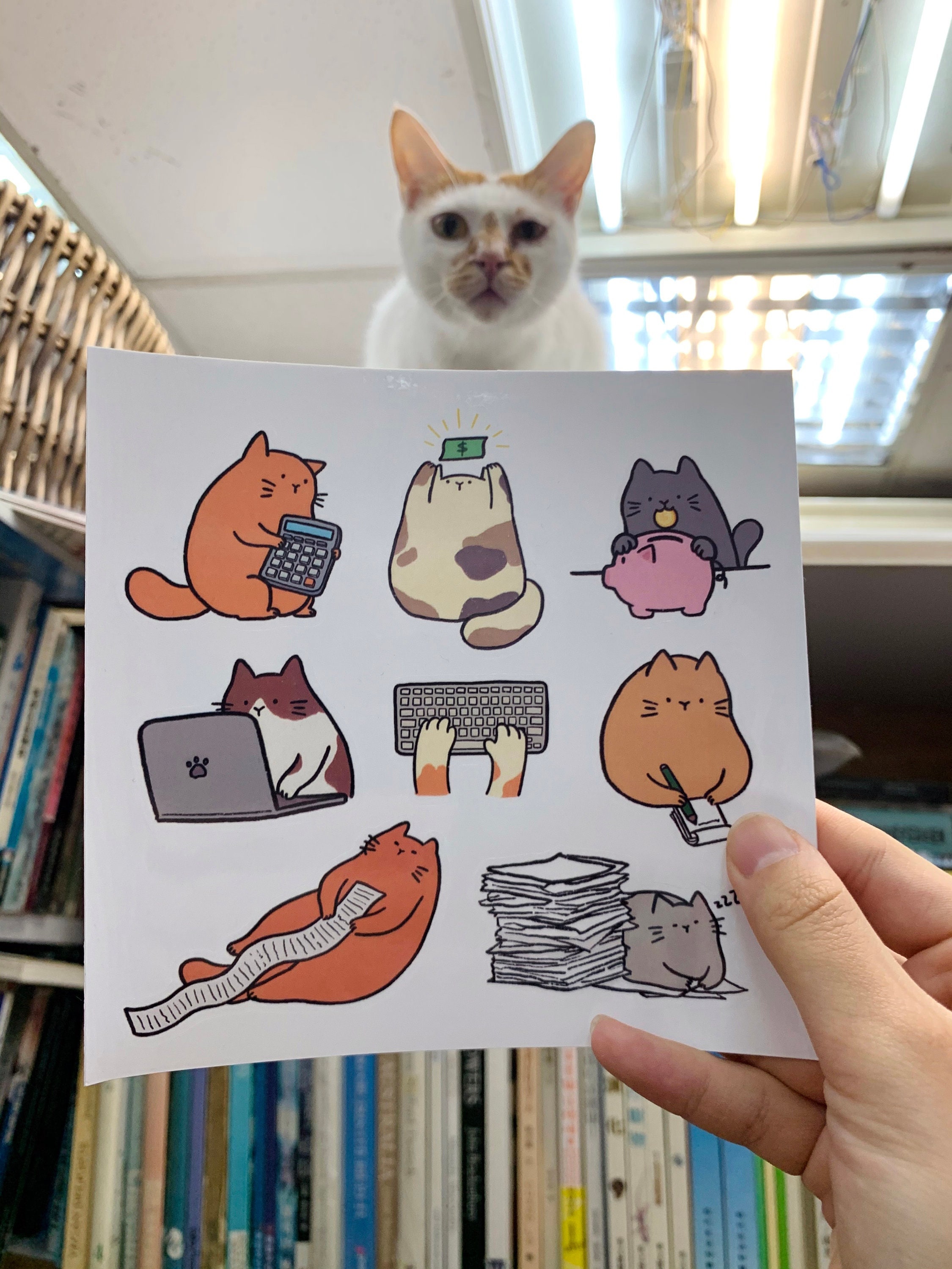Accounting Cat Sticker Pack - Etsy