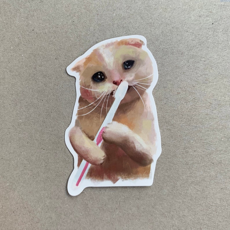 Sad Cat Meme Sticker Set - Etsy