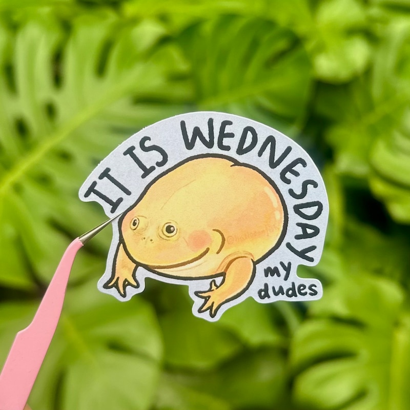 My Dudes Frog - Etsy