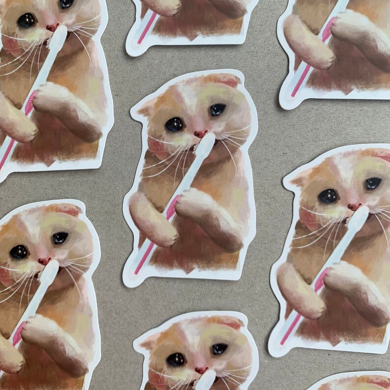 Sad Cat Meme Sticker Set - Etsy