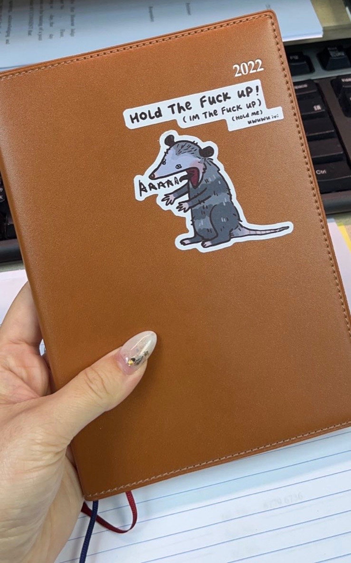 Screaming Possum Sticker / Trash Possum / Possum Meme / - Etsy