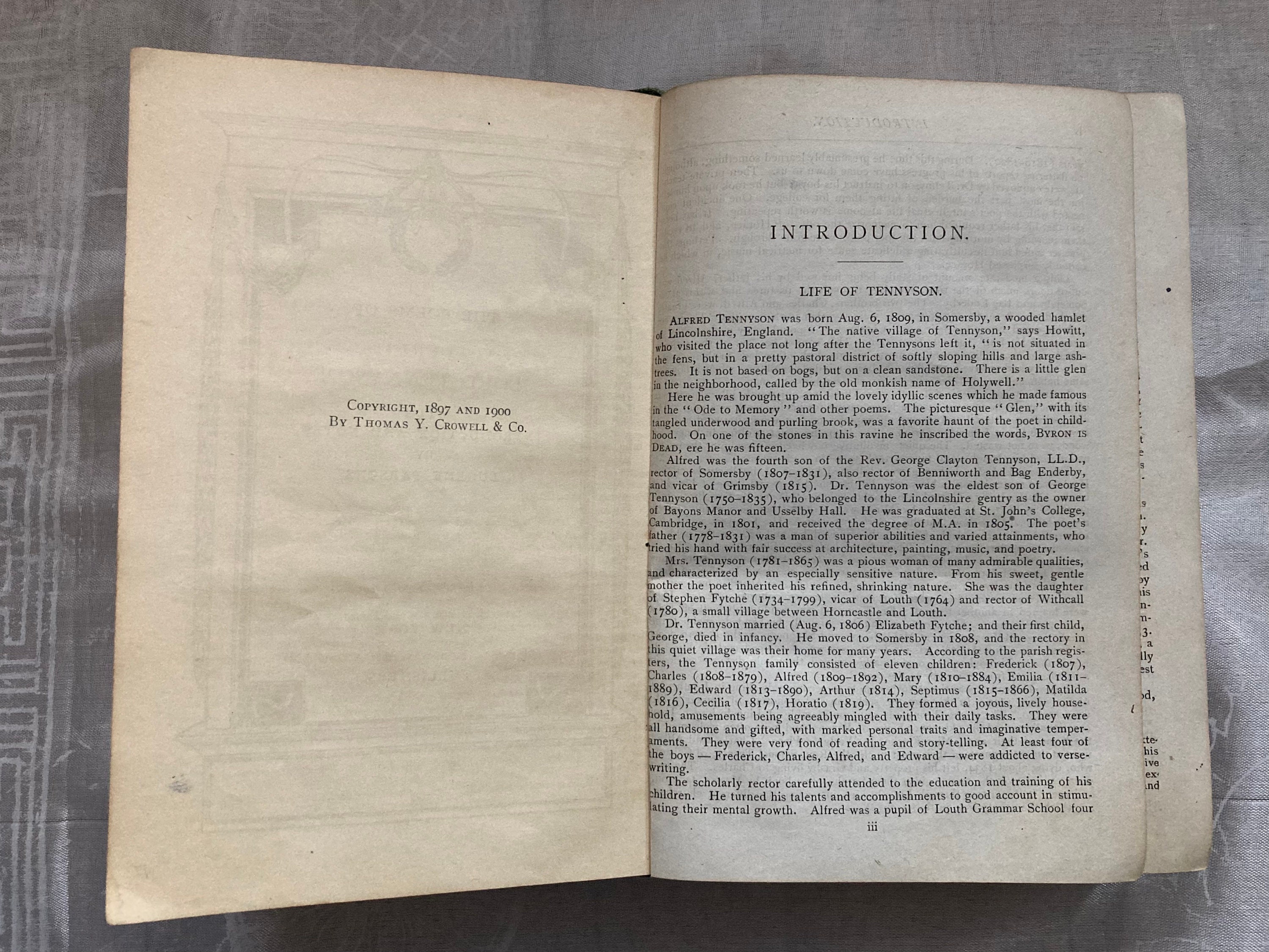 Tennysons Poems 1900 - Etsy