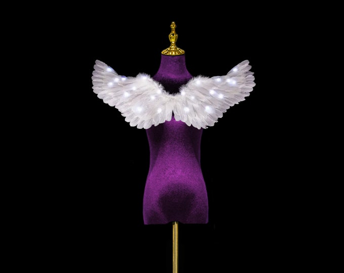 LED Angel Wings Feather Rainbow Fairy Wings Burning Man Outfit Festival ...