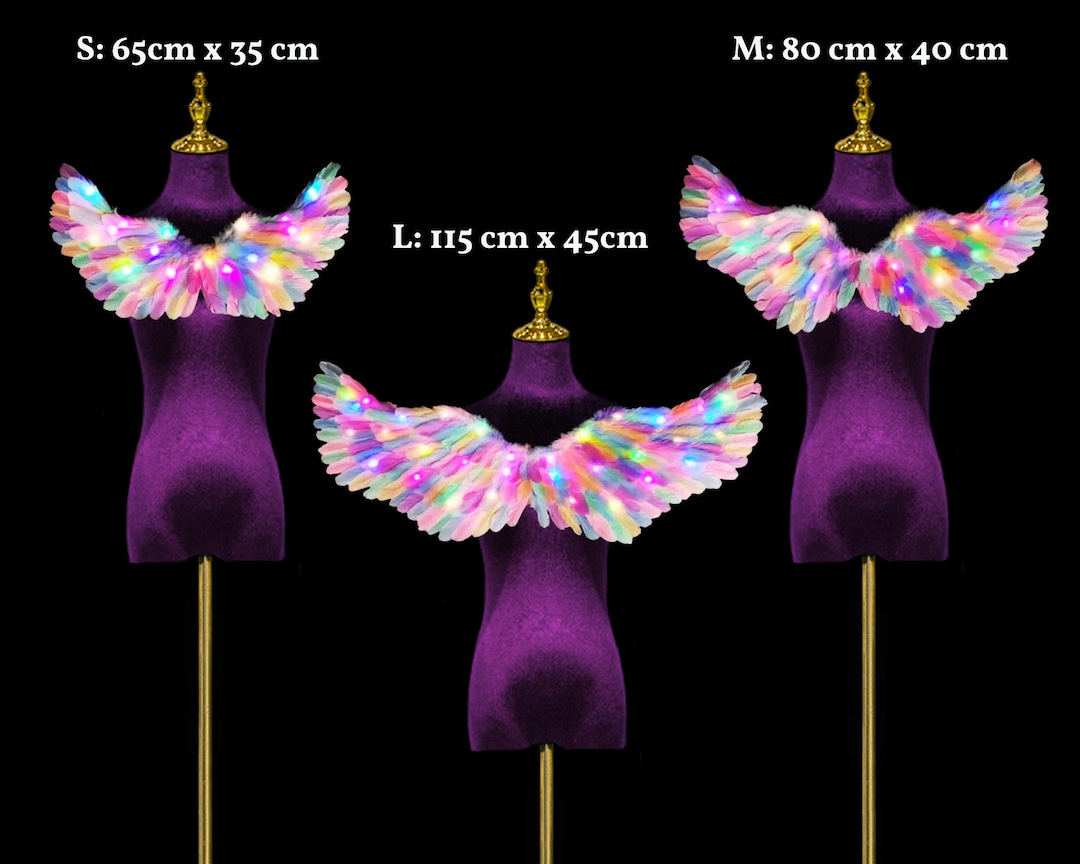 Pride Outfit Rainbow LED Angel Wings Feather Light Fairy Wings Burning ...
