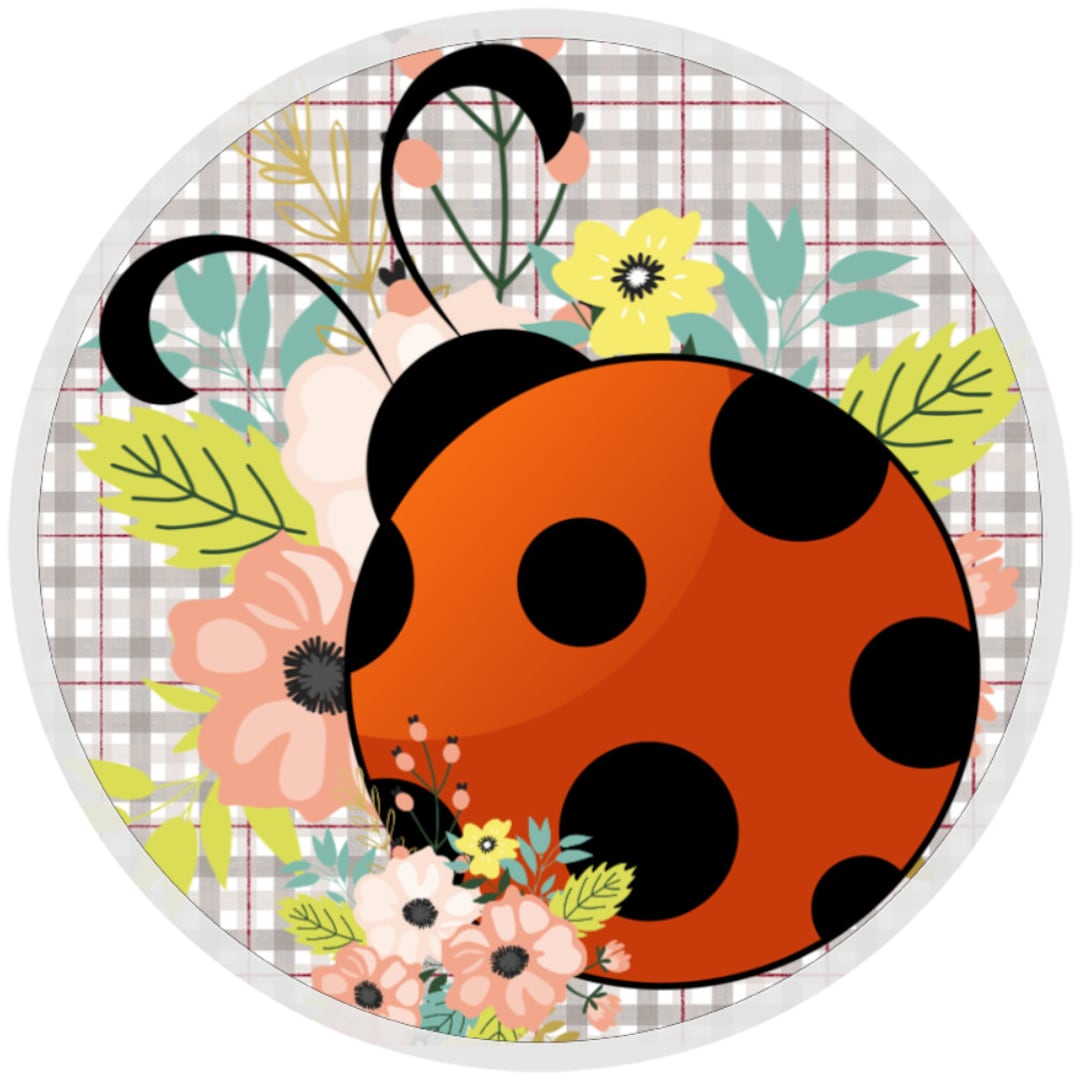 10” Ladybug Floral Sign , Wreath Sign, Home Decor - Etsy
