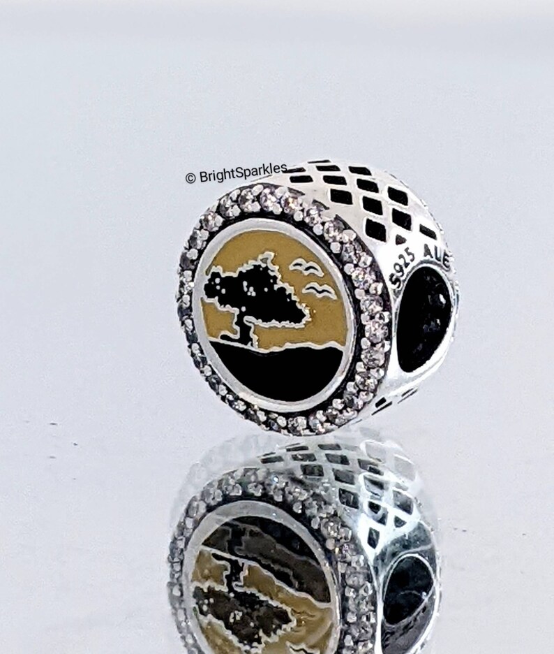 Pandora Engraved Button Charm Divi Scene Aruba Charm - Etsy