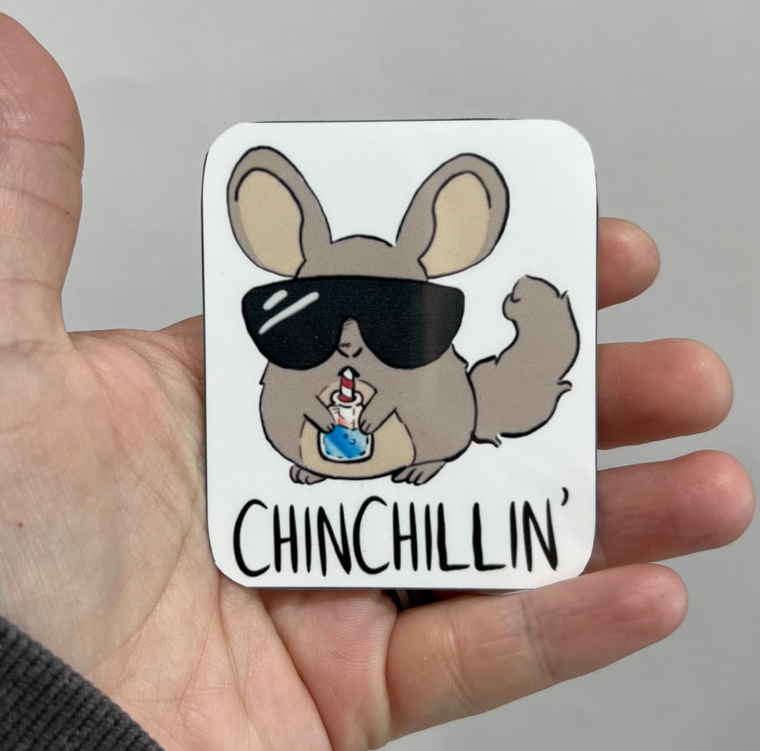 Chinchillin' Chinchilla Sticker, Chinchillin, Relaxed Chinchilla - Etsy
