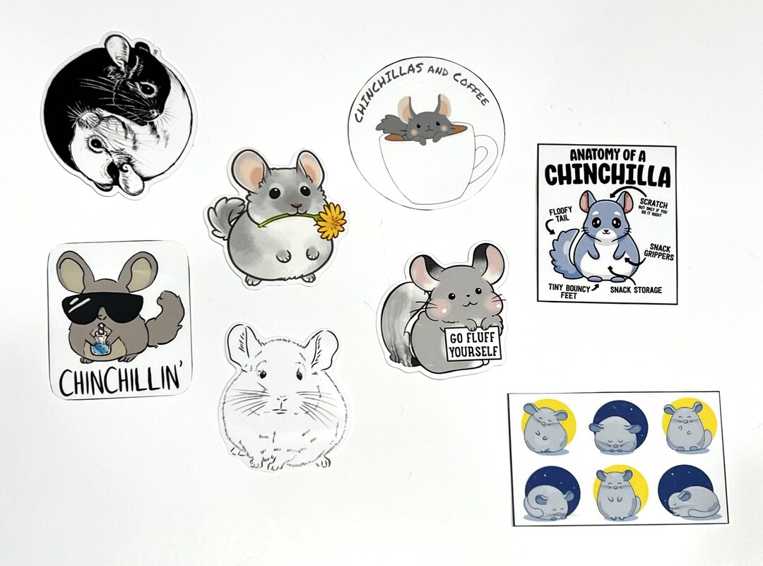 SET OF 8 Cute Chinchilla Stickers, Mix & Match - Etsy