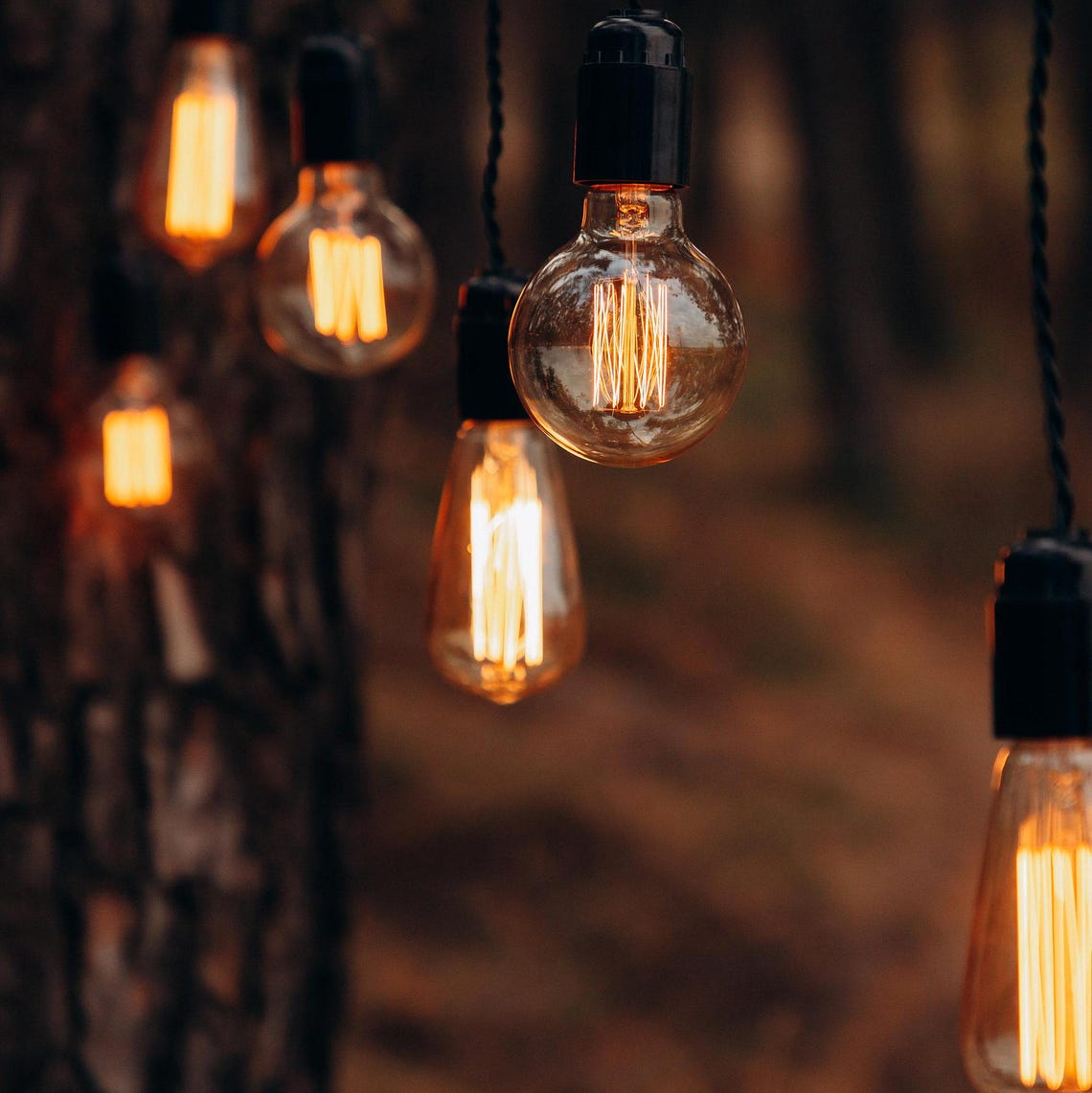 Edison Bulb String Lights, Vintage Indoor Decor, 40W А3 - Etsy