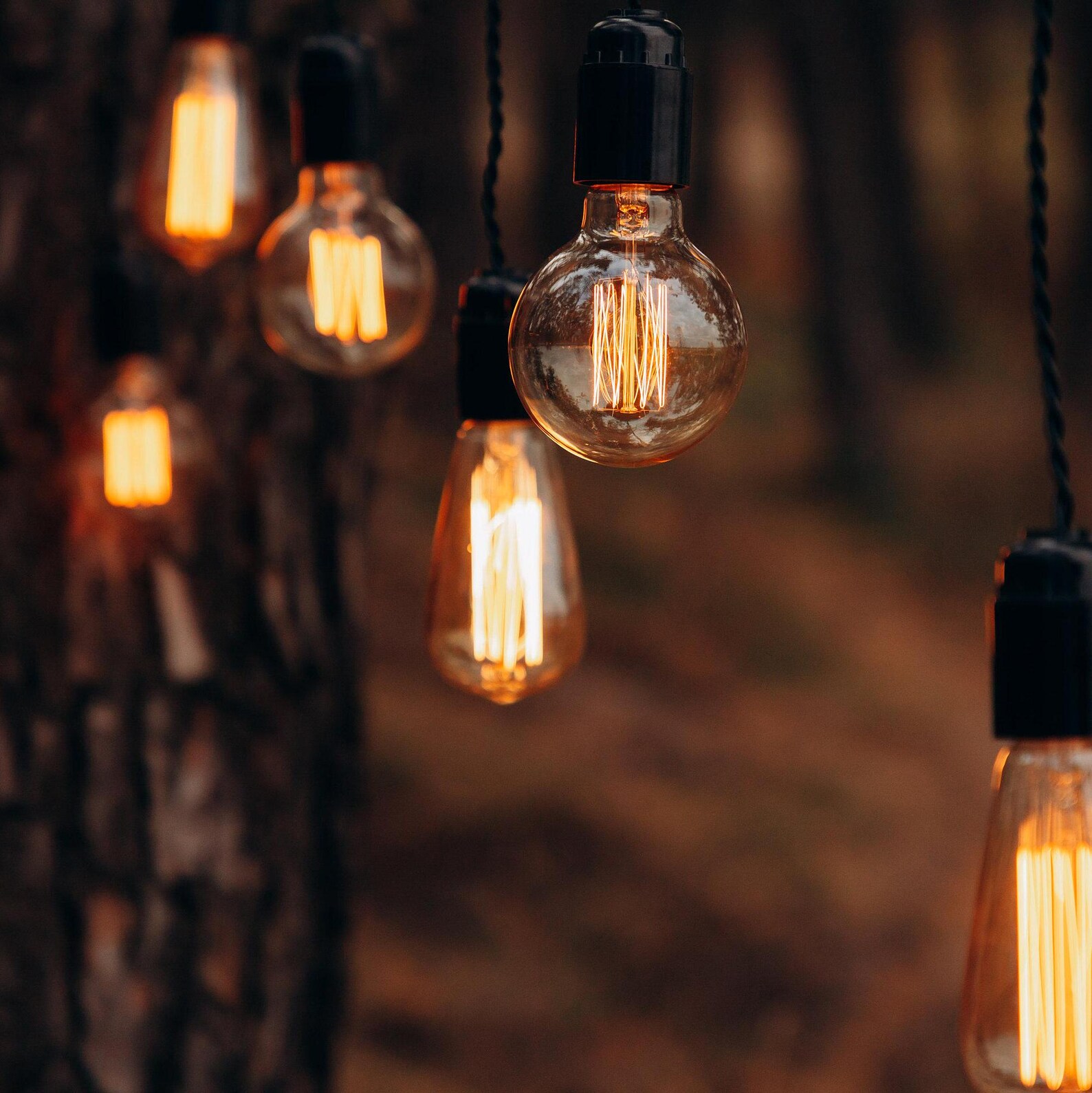 Edison Bulb String Lights, Vintage Indoor Decor, 40W А3 - Etsy