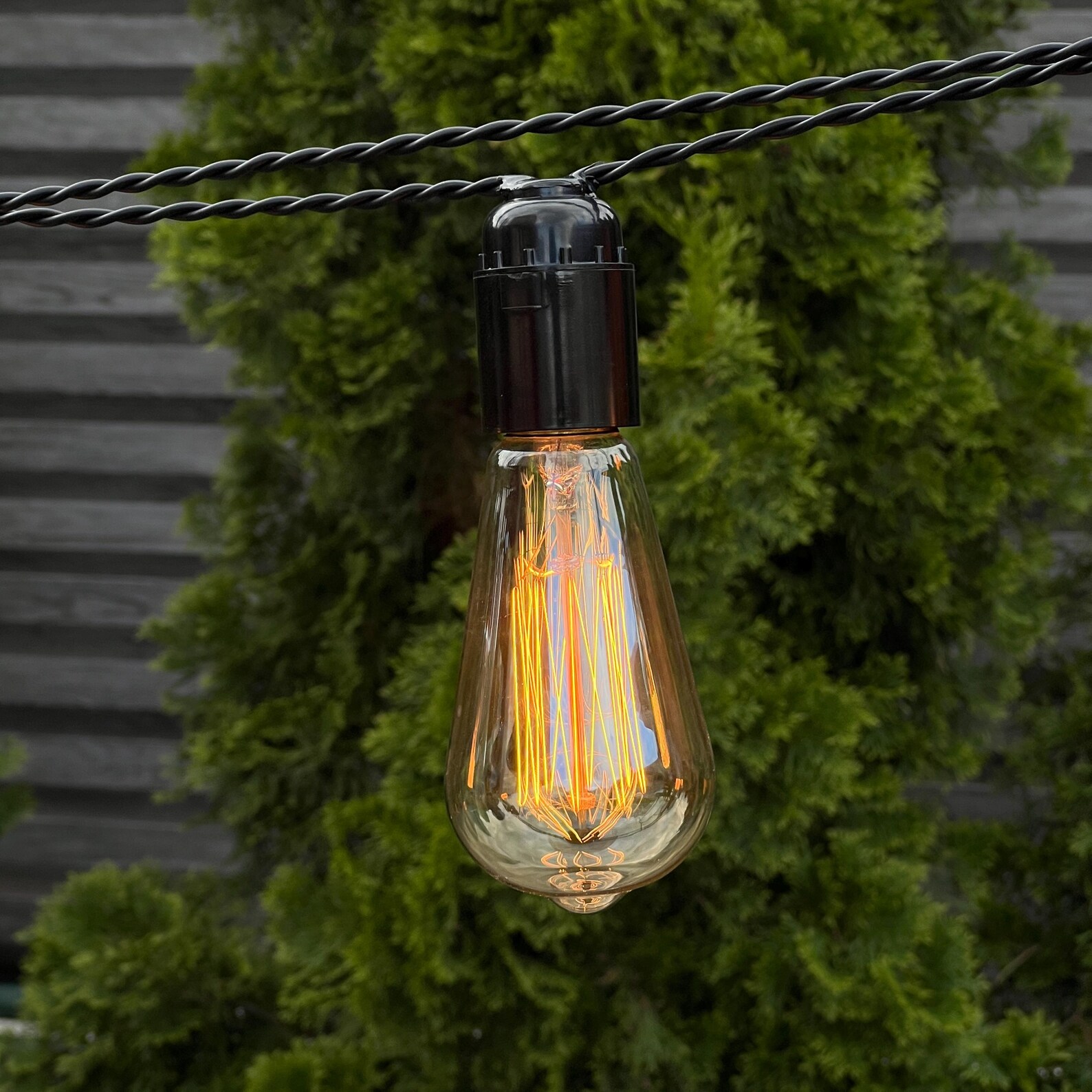 Edison Bulb String Lights, Vintage Indoor Decor, 40W А3 - Etsy