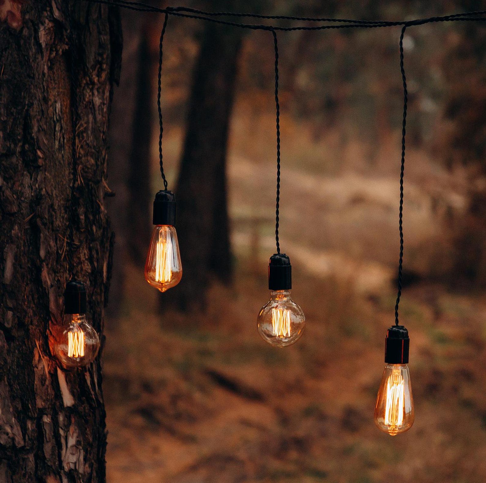 String Lights With Hanging Bulbs for Patio, Garden, Wedding, Event A3 ...