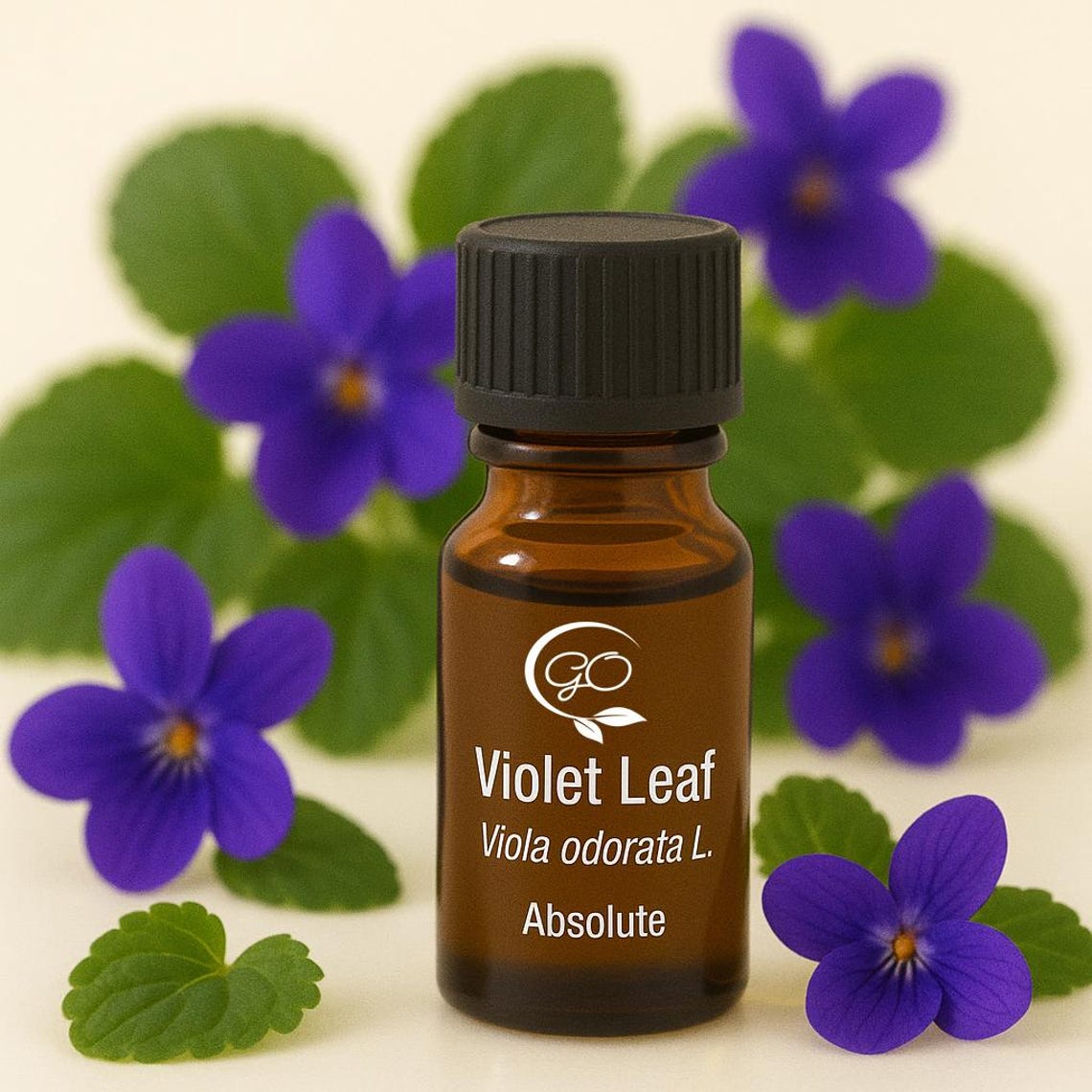 Violet Leaf Absolute (viola Odorata L.) Absolute Essential Oil. Pure ...